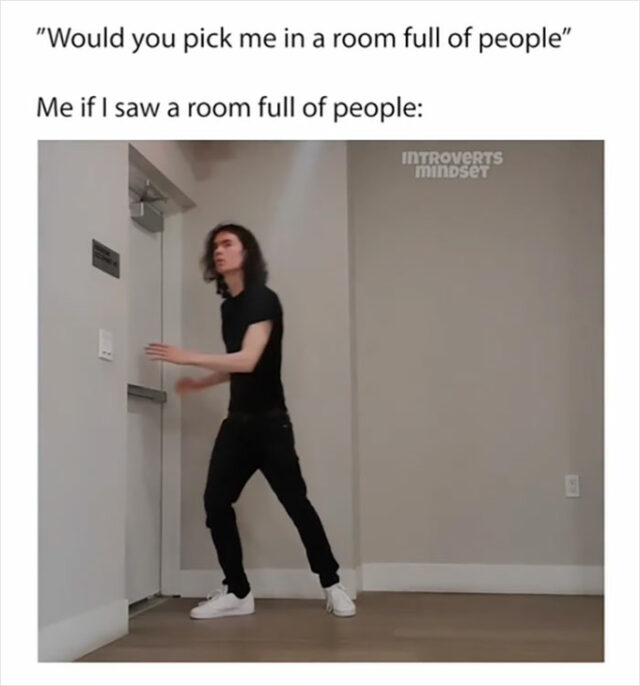 25 Relatable Memes That Accurately Describe An Introvert’s Thoughts ...