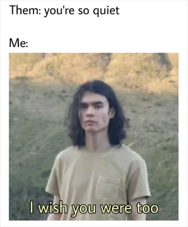 25 Relatable Memes That Accurately Describe An Introvert’s Thoughts ...