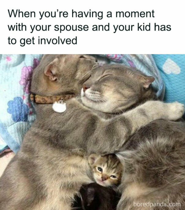 25 Funny Memes That Accurately Capture The Chaos Of Parenting | DeMilked