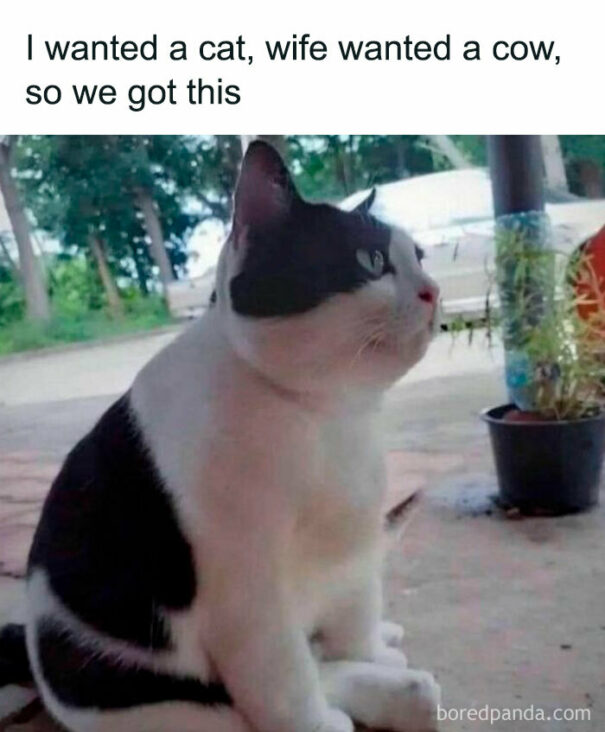 40 Of The Best Memes From This IG Page With Nearly 6 Million Followers ...
