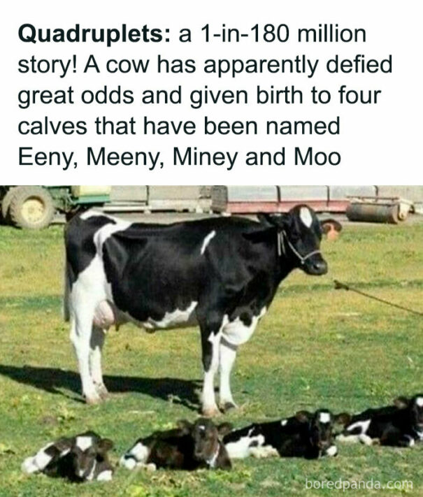 40 Of The Best Memes From This IG Page With Nearly 6 Million Followers ...