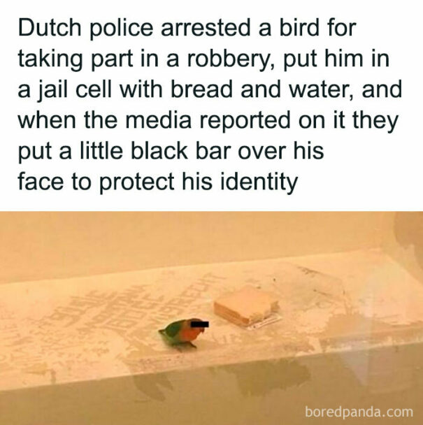 40 Of The Best Memes From This IG Page With Nearly 6 Million Followers ...