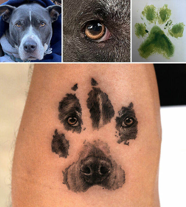 25 Beautiful Hyperrealistic Tattoos Immortalizing Beloved Pets | DeMilked