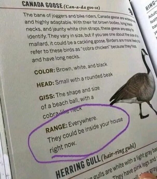 40 Photos Of “All Things Strange And Unusual” | DeMilked