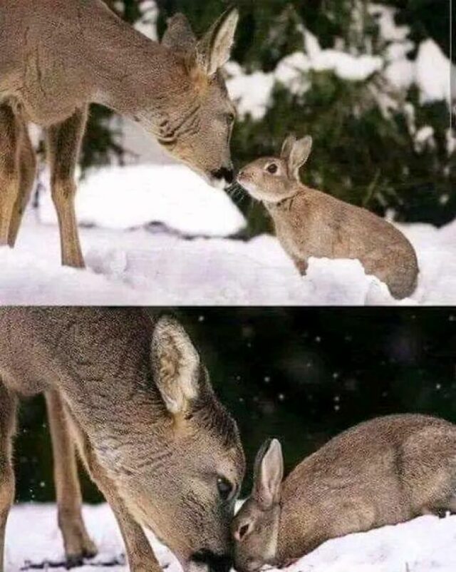 40 Photos Of “All Things Strange And Unusual” | DeMilked