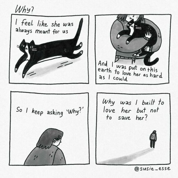 20 Relatable Comics About Inner Thoughts And Everyday Life | DeMilked