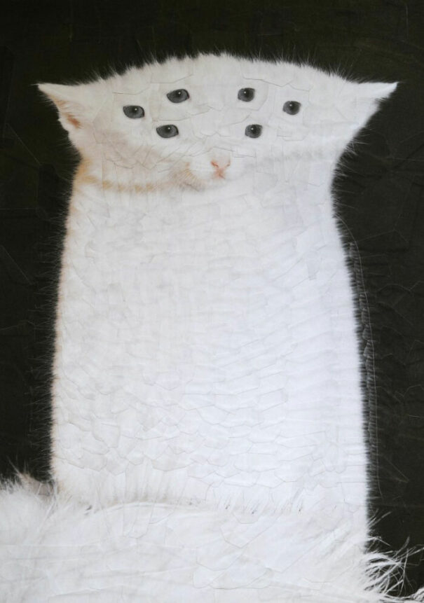 20 Times This Scottish Artist Created Unusual Pet Portraits Through ...