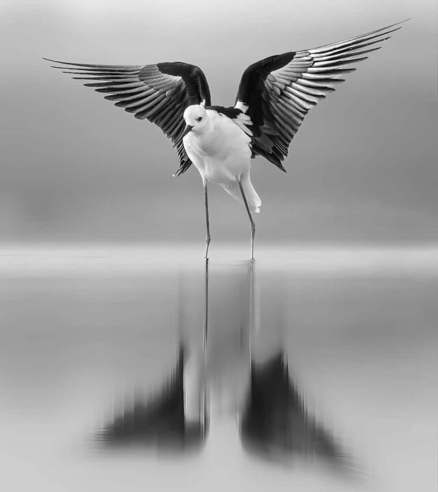 20 Stunning Monochrome Shots From The 35 Photography Awards | DeMilked