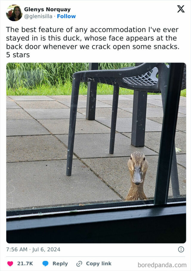 25 Of The Funniest Things People Posted On X This Month (July) | DeMilked