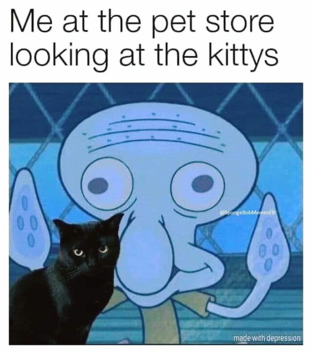 ‘SpongeBob Squarepants 25th Anniversary’: 25 Of The Best Memes Of All ...