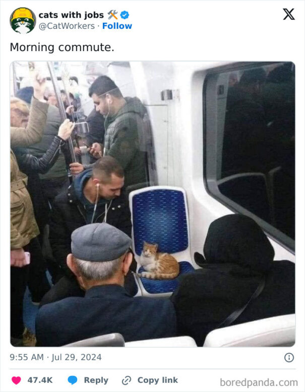 40 Hardworking Cats That May Deserve A Promotion | DeMilked