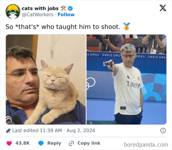 40 Hardworking Cats That May Deserve A Promotion | DeMilked