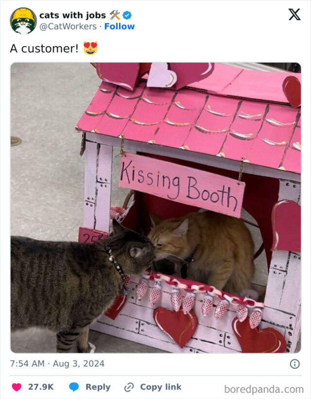 40 Hardworking Cats That May Deserve A Promotion | DeMilked