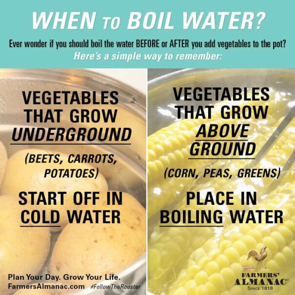 35 Cool And Useful Charts To Learn More About Food And Cooking | DeMilked