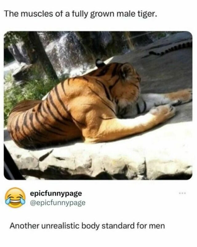 40 Of The Funniest Posts And Memes Shared On The “Epicfunnypage” IG Account | DeMilked