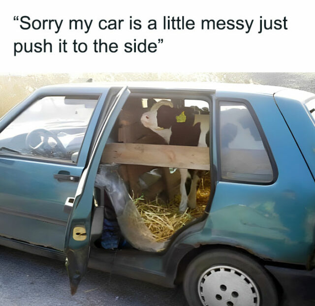 40 Of The Funniest Memes Found On “Kompot Is Life” | DeMilked