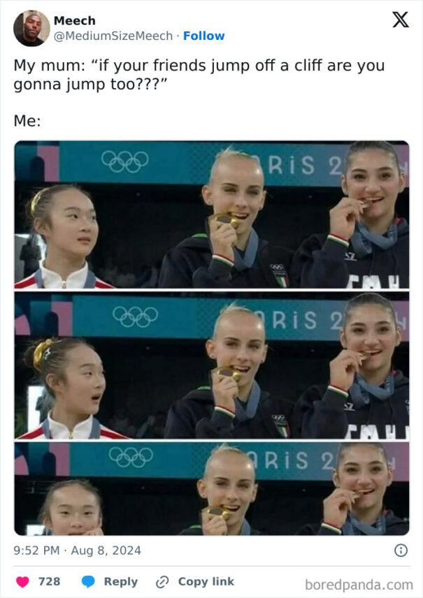 35 Of The Funniest Memes That Defined the 2024 Paris Olympics | DeMilked