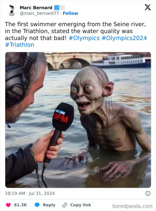 35 Of The Funniest Memes That Defined the 2024 Paris Olympics | DeMilked