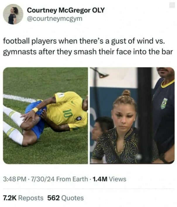 35 Of The Funniest Memes That Defined the 2024 Paris Olympics | DeMilked