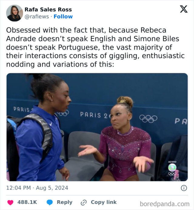 35 Of The Funniest Memes That Defined the 2024 Paris Olympics | DeMilked