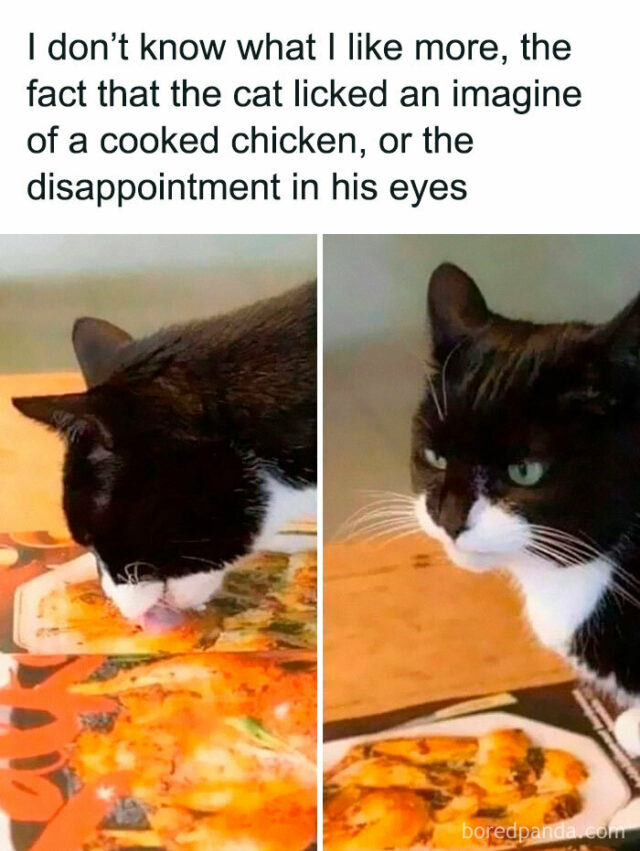 35 Funny Relatable Life Memes That Might Make You Laugh | DeMilked