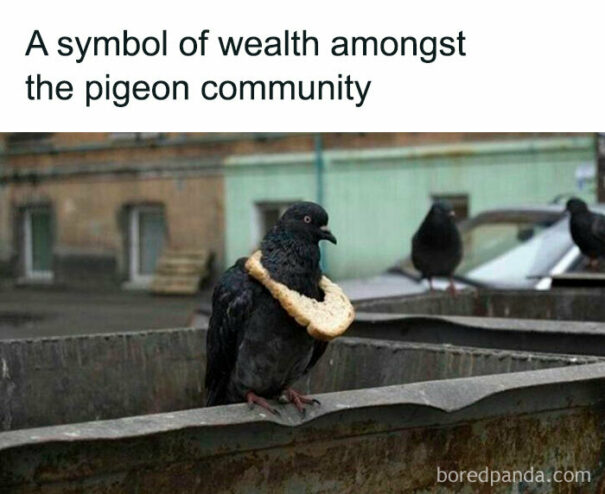 35 Funny Relatable Life Memes That Might Make You Laugh | DeMilked