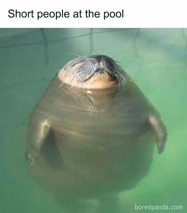 35 Funny Relatable Life Memes That Might Make You Laugh | DeMilked