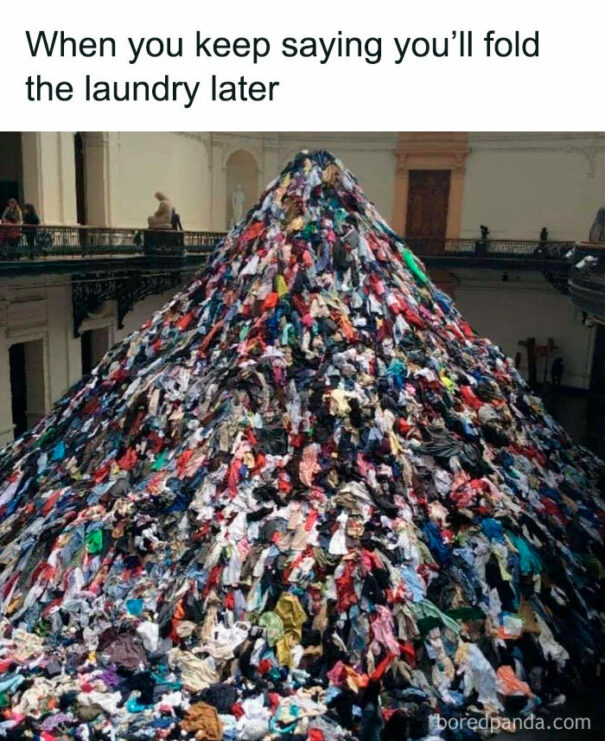 35 Funny Relatable Life Memes That Might Make You Laugh | DeMilked