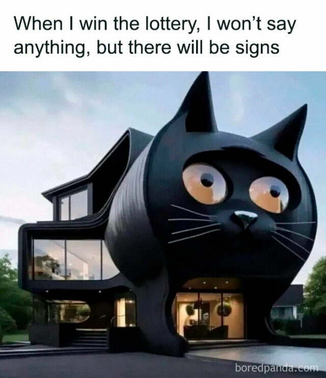 35 Funny Relatable Life Memes That Might Make You Laugh | DeMilked