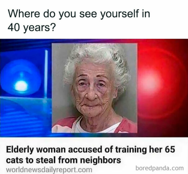 35 Funny Relatable Life Memes That Might Make You Laugh | DeMilked