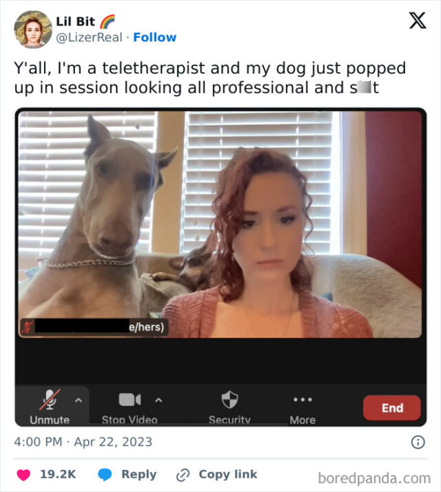 35 Adorable Dog Posts That Will Make You Love Pups Even More | DeMilked