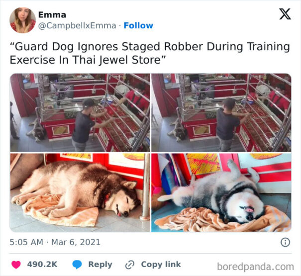 35 Adorable Dog Posts That Will Make You Love Pups Even More | DeMilked