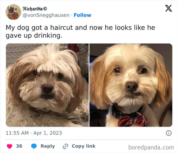 35 Adorable Dog Posts That Will Make You Love Pups Even More | DeMilked