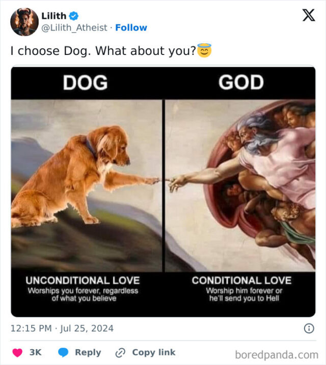 35 Adorable Dog Posts That Will Make You Love Pups Even More | DeMilked