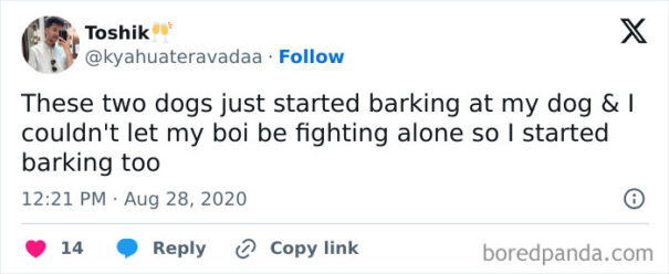 35 Adorable Dog Posts That Will Make You Love Pups Even More | DeMilked