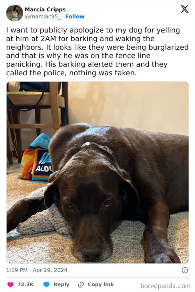 35 Adorable Dog Posts That Will Make You Love Pups Even More | DeMilked