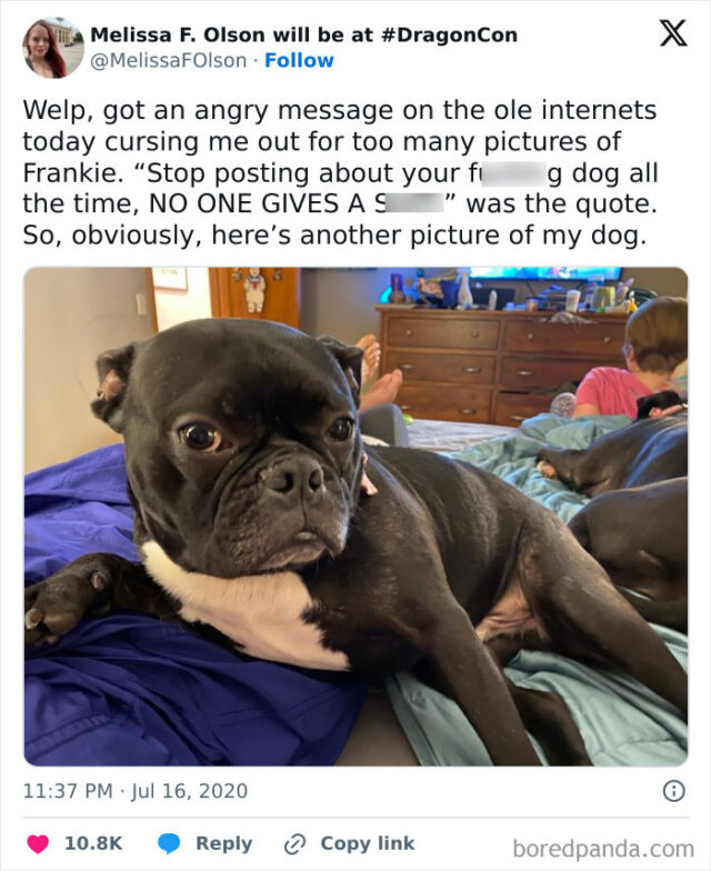 35 Adorable Dog Posts That Will Make You Love Pups Even More | DeMilked