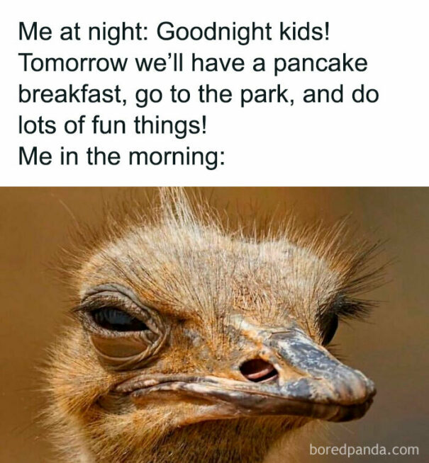 25 Relatable Memes About Daily Parenting Struggles | DeMilked