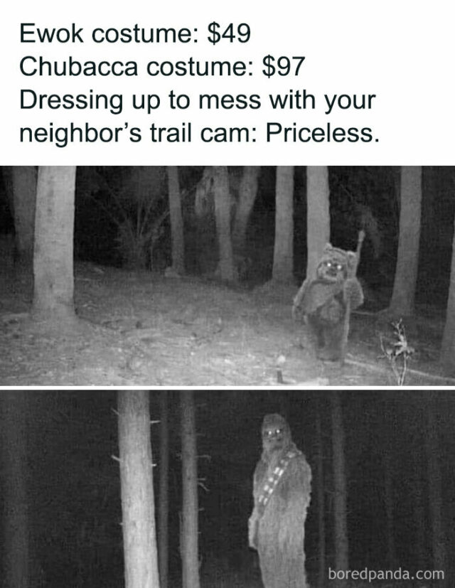 40 Relatable Memes For Those Who Enjoy Fishing, Hunting And The Great ...