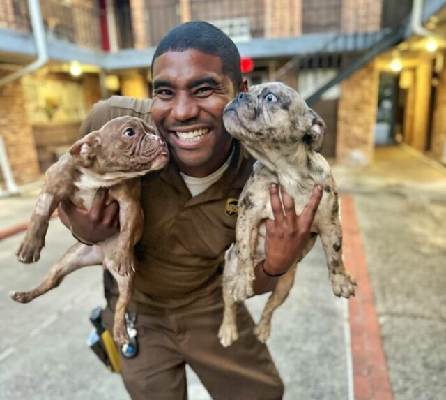 25 Pawsome Pics Of UPS Driver Bonding With Pets On His Delivery Route ...