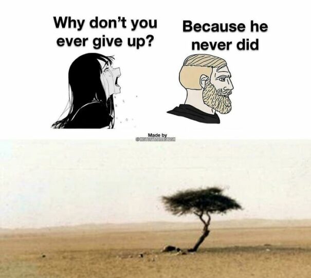 30 Funny Memes For History Buffs That Reveal Another Side Of The Story ...