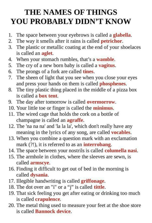 30 Cool Charts And Guides That Make Data More Pleasant | DeMilked