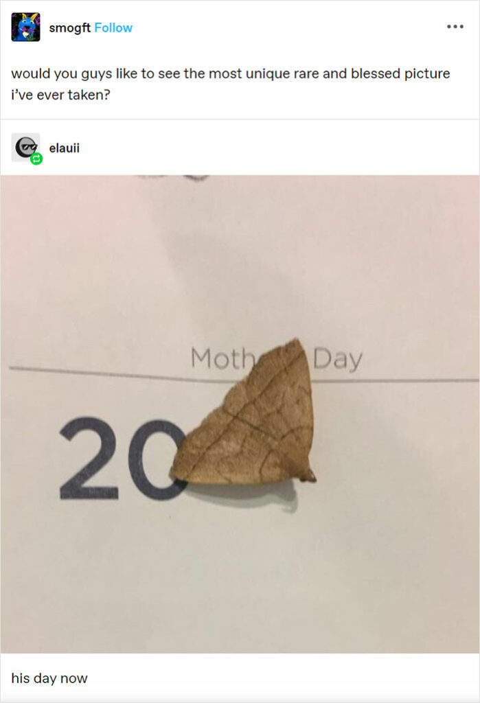 25 Positive Photos That Can Immediately Brighten Your Day | DeMilked