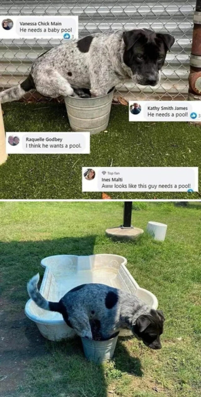 25 Positive Photos That Can Immediately Brighten Your Day | DeMilked