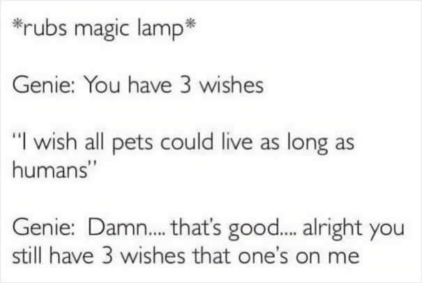 40 Adorable Dog Memes To Melt All Dog-Lovers’ Hearts | DeMilked