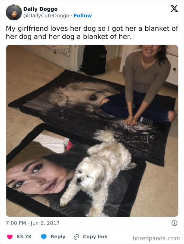 40 Adorable Dog Memes To Melt All Dog-Lovers’ Hearts | DeMilked