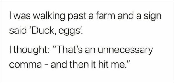 40 Funny “Unappreciated Puns” That Display Beautiful Wordplay | DeMilked