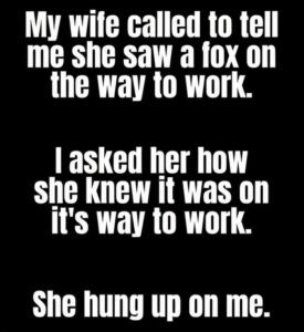 40 Funny “Unappreciated Puns” That Display Beautiful Wordplay | DeMilked