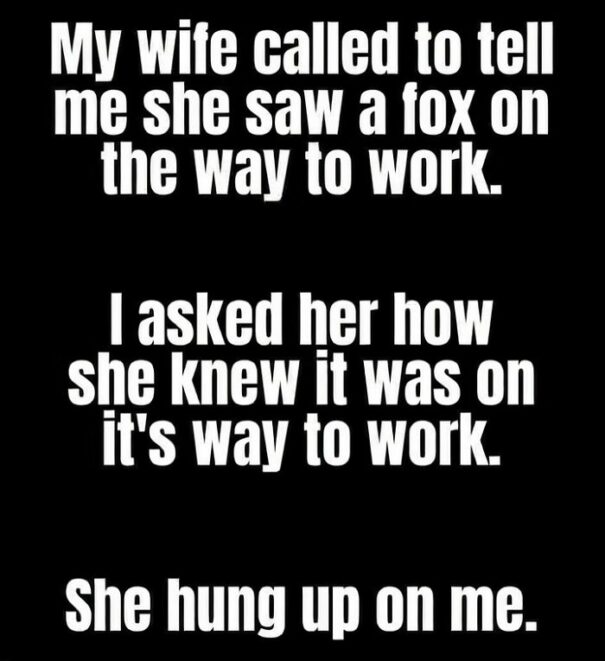 40 Funny “Unappreciated Puns” That Display Beautiful Wordplay | DeMilked