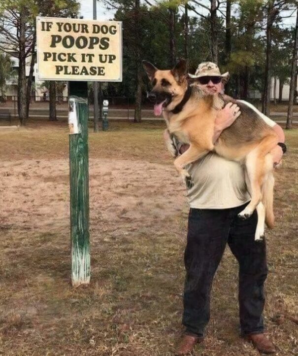 40 Funny “Unappreciated Puns” That Display Beautiful Wordplay | DeMilked